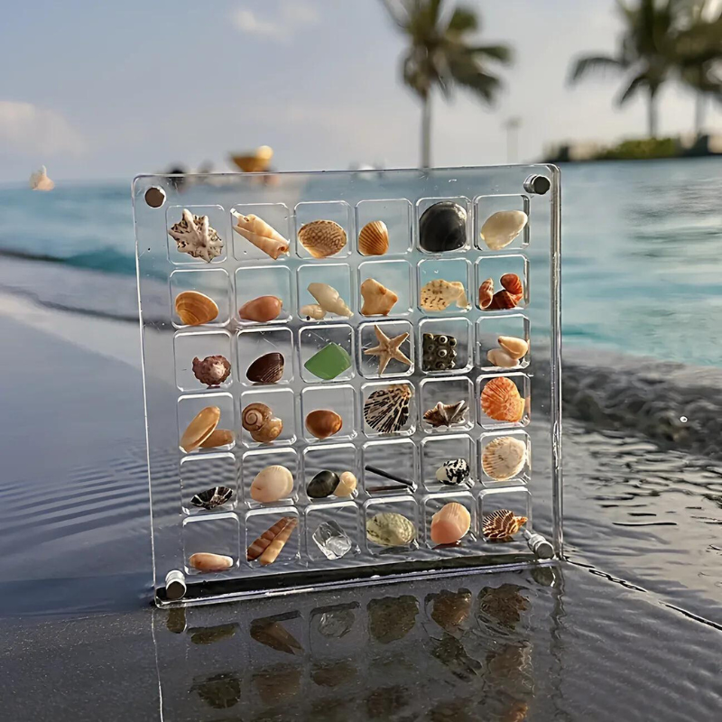 Acrylic Shell Display Box – Shoplari