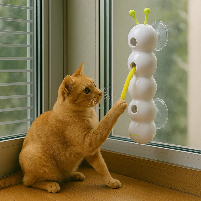 WiggleWhirl™ Cat Toy – Shoplari